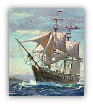 De proas | campoembarcaciones